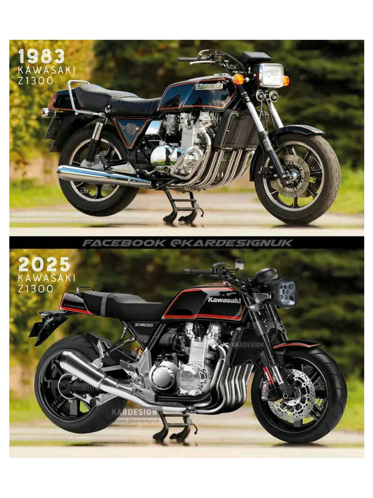 Z1300 Kingkong See | PDF