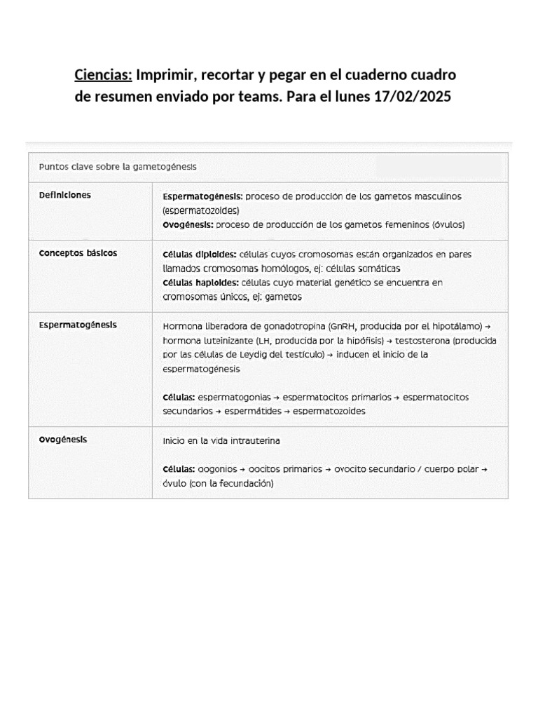 Cuadro de Resumen 2025 | PDF