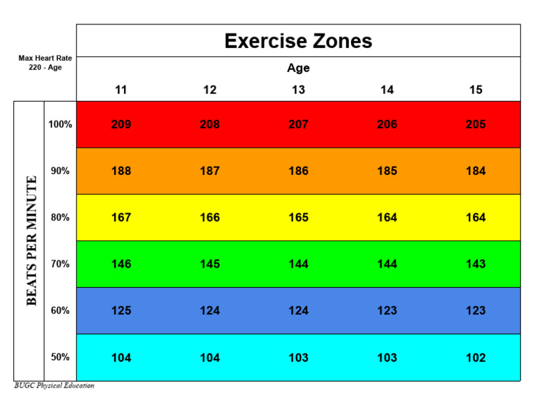 Max Heart Rate by Age Chart | PDF