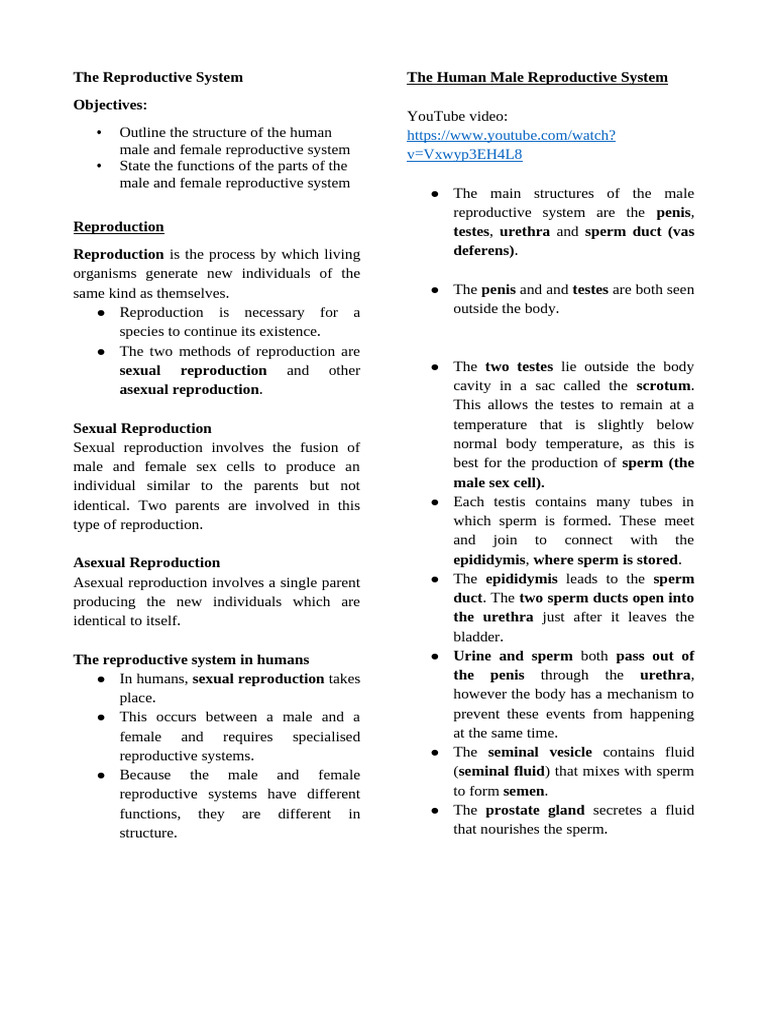 Form 3 Biology Reproductive Systems Notes-Videos-Questions | PDF ...