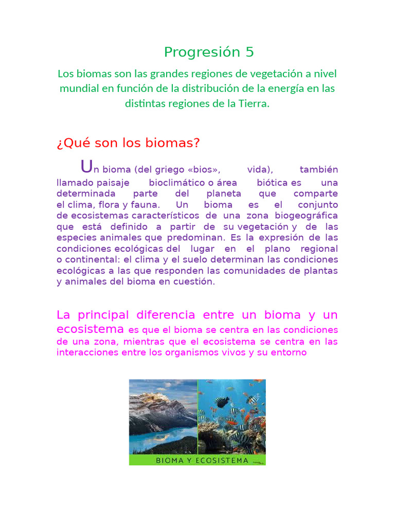 Progresión 5. Antología | PDF