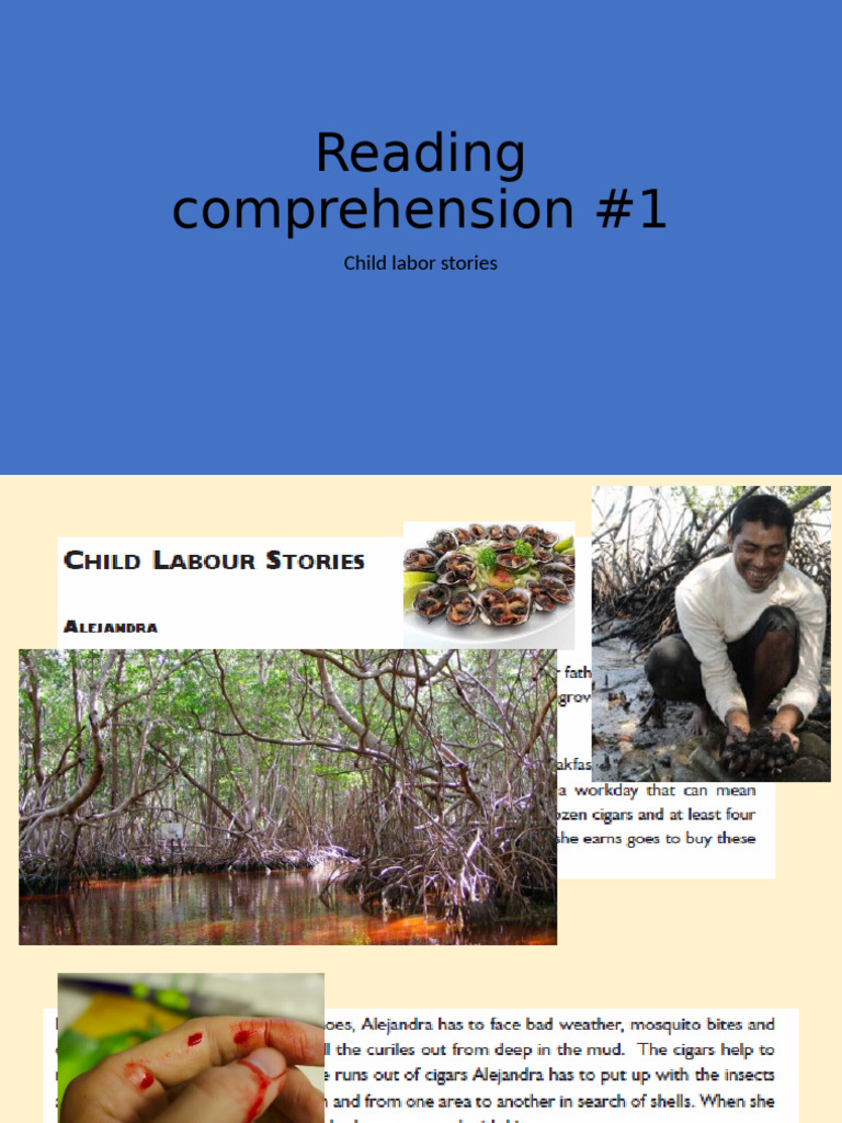 Reading Comprehension #1 | PDF