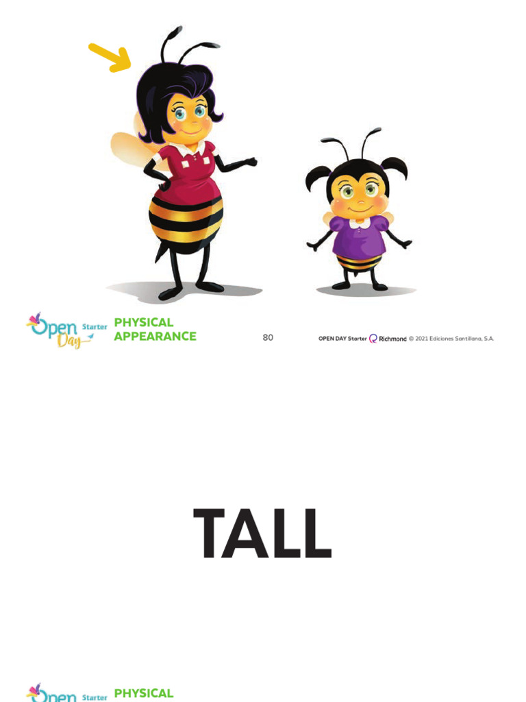 ODs Flashcards U5 | PDF