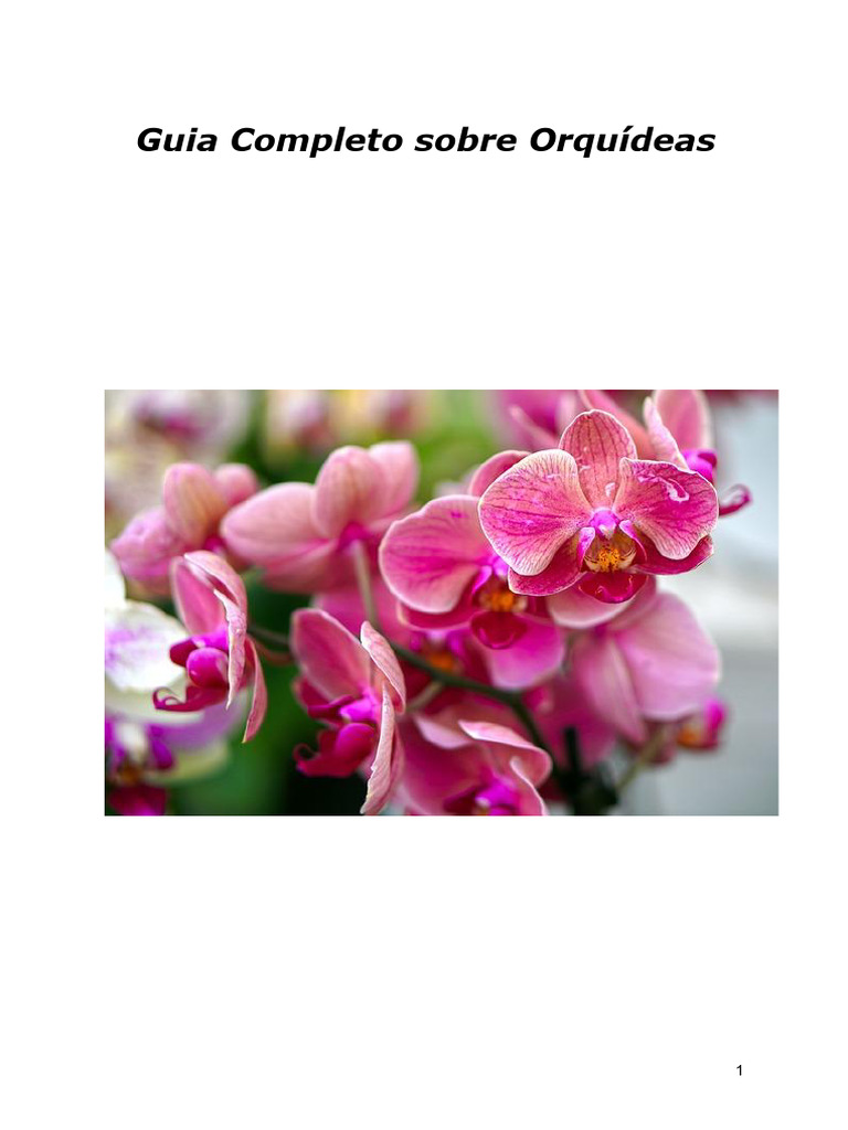 Guia Prático de Cuidados com Orquídeas | PDF | Plantas | Botânica