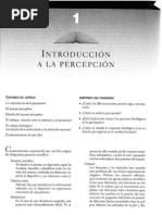 Goldstein, E B - Sensacion y Percepcion UPEM