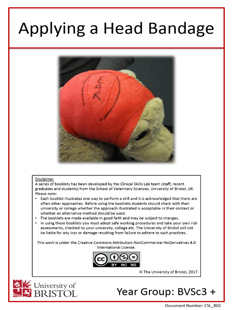 Ear Bandaging Procedure for Dogs | PDF | Ear