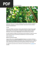 Biomas Selva Tropical | PDF | Selva | Zona tropical