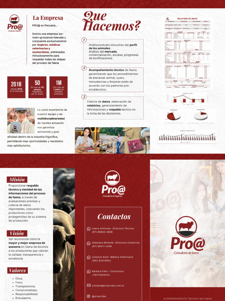 Folder Pro@ 1 | PDF