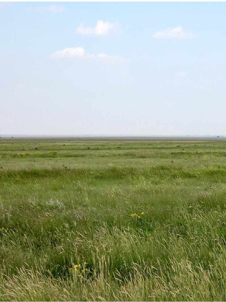 Grassland Habitats | PDF