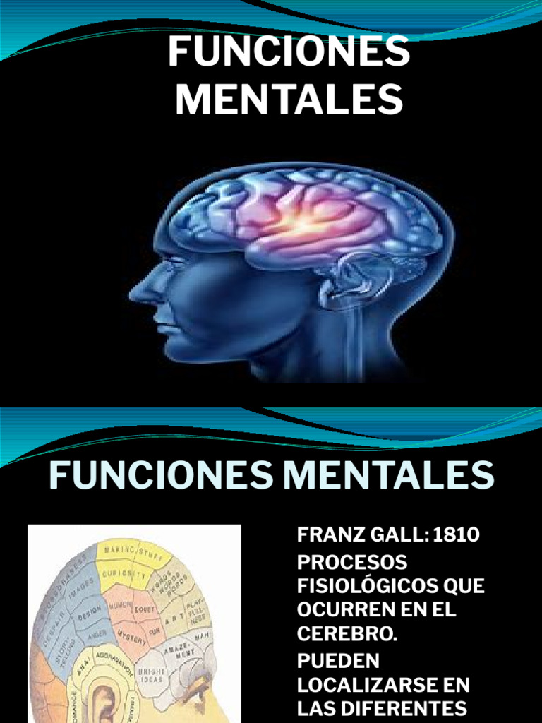 Funciones Mentales y Estructuras Cerebrales | PDF | Cerebro | Sentidos