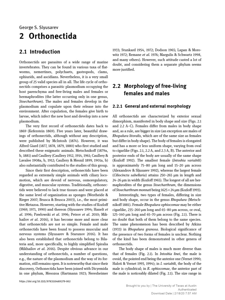 orthonectida | PDF | Epithelium | Anatomical Terms Of Location