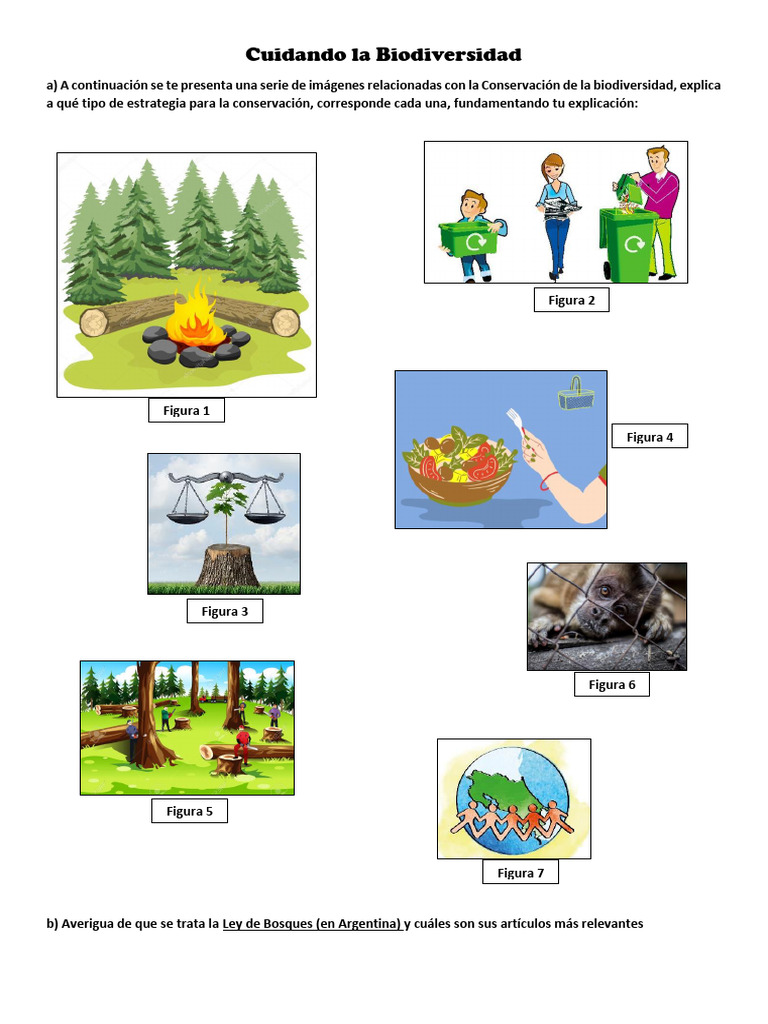 Conservacion de La Biodiversidad - Tarea | PDF | Biodiversidad ...