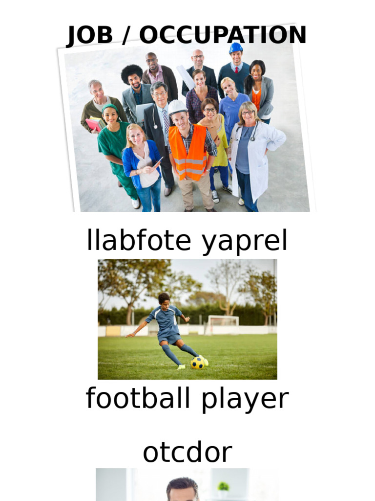 Job / Occupation | PDF