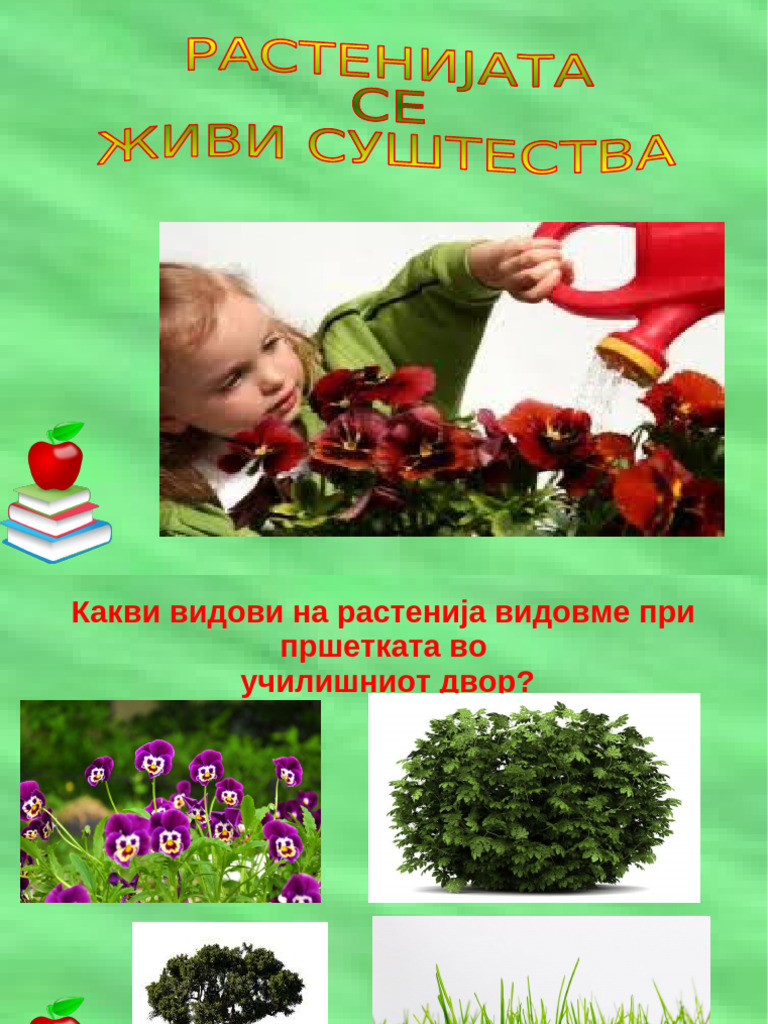 Prezentacija Za Rastenija | PDF