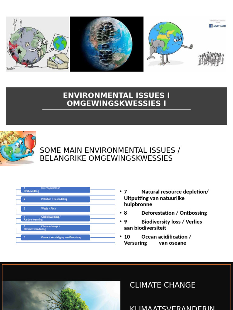 Environmental Issues | PDF | Climate Change | Environmental Degradation