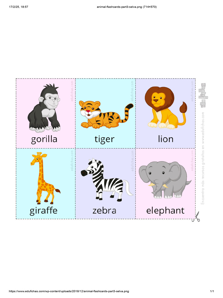 Animal Flashcards Part3 Selva | PDF
