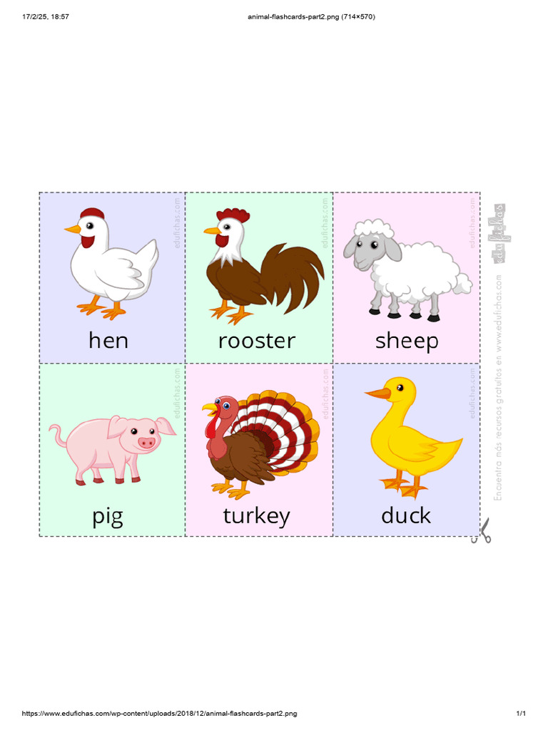 Animal Flashcards Part 2 Image | PDF