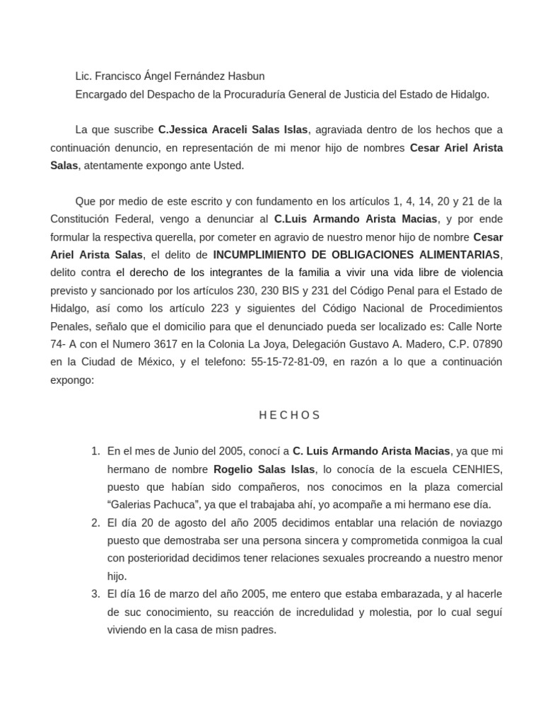 Modelo de Querella Penal | PDF | Justicia | Crimen y violencia