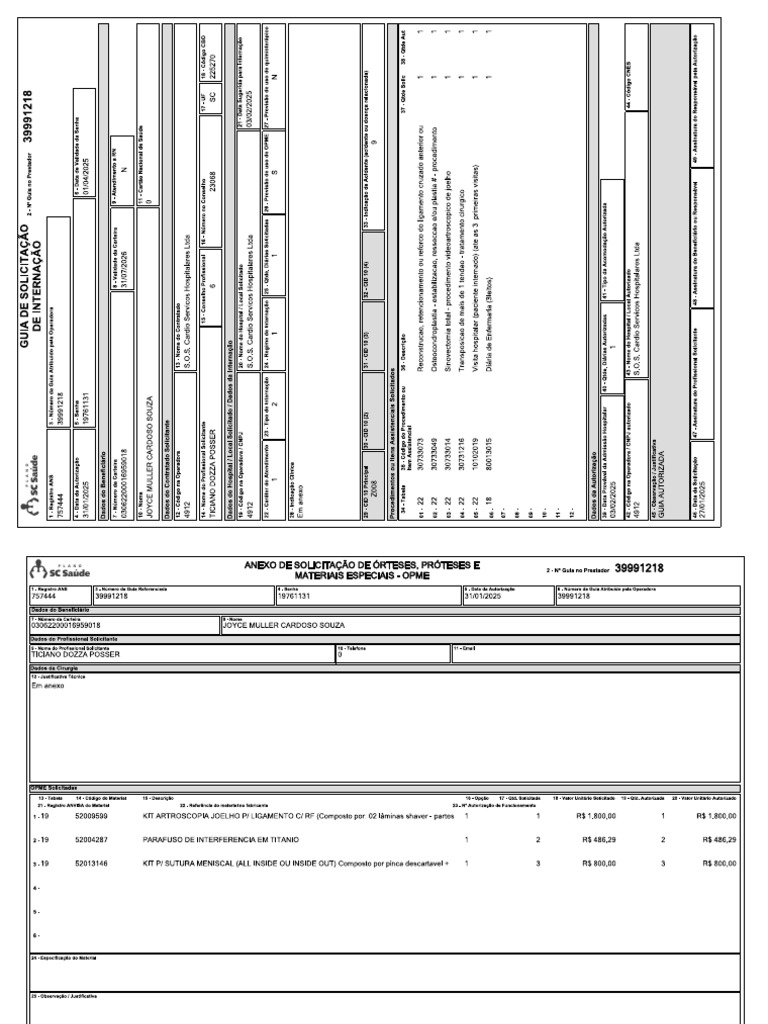 JOYCE MULLER CARDOSO SOUZA 0302 (1) | PDF