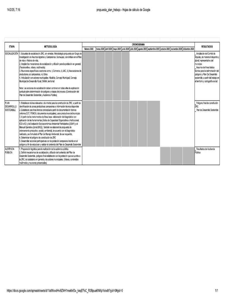 Propuesta Plan Trabajo ZRC 140225 | PDF