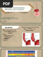 ESÒFAGO (Anatomía, Embriología, Histología y Fisiología) | PDF ...