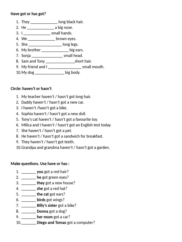 Have got or has got exercises | PDF