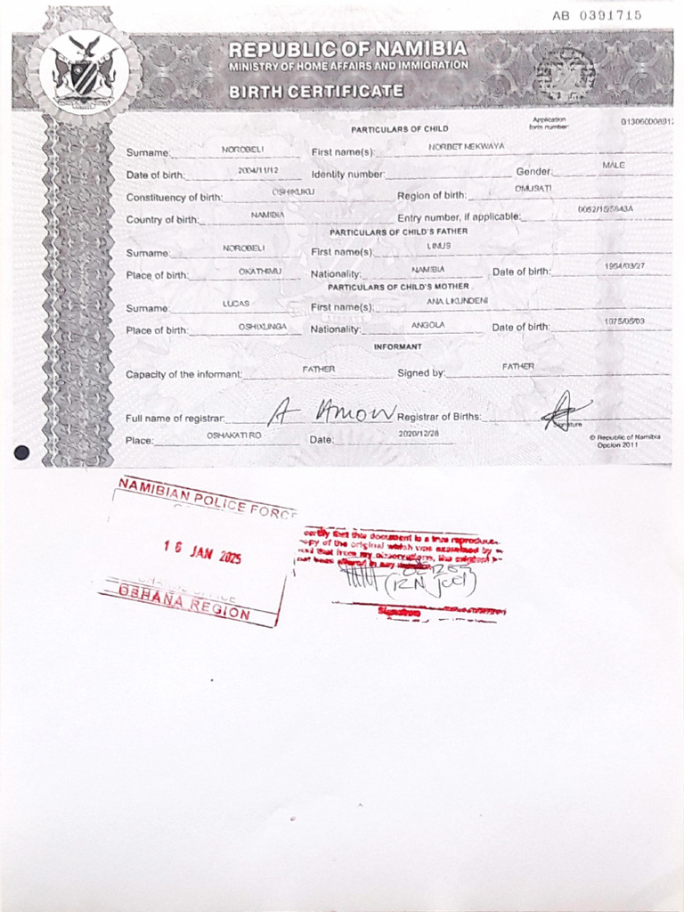 Child Birth Registration Form Details | PDF