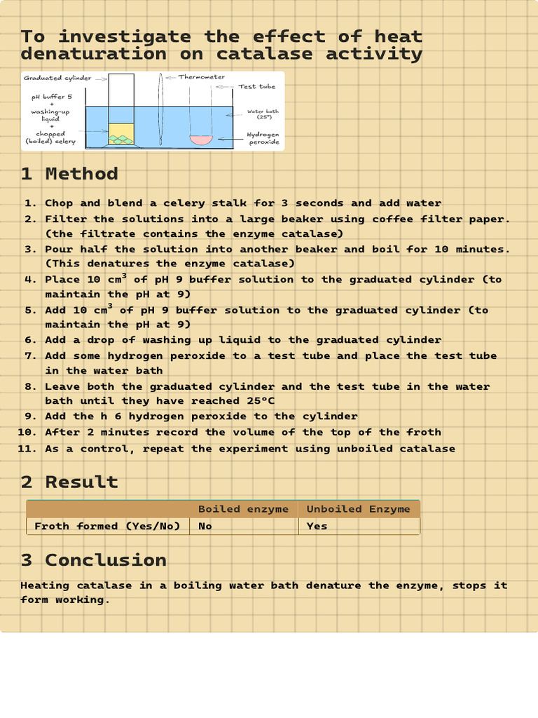 Heat Denaturation of Catalase Experiment | PDF