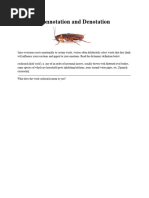 Cockroaches Poem Analysis | PDF | Poetry | Psychology