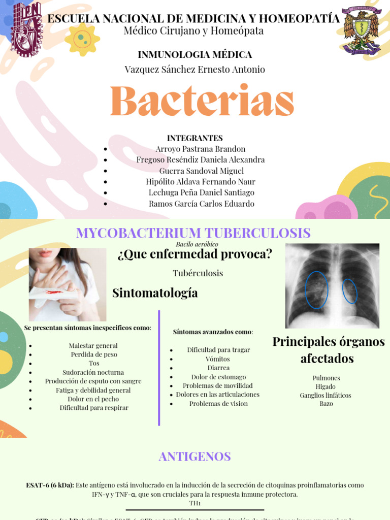 Bacterias (1) (1) | PDF | Sistema inmune | Inflamación