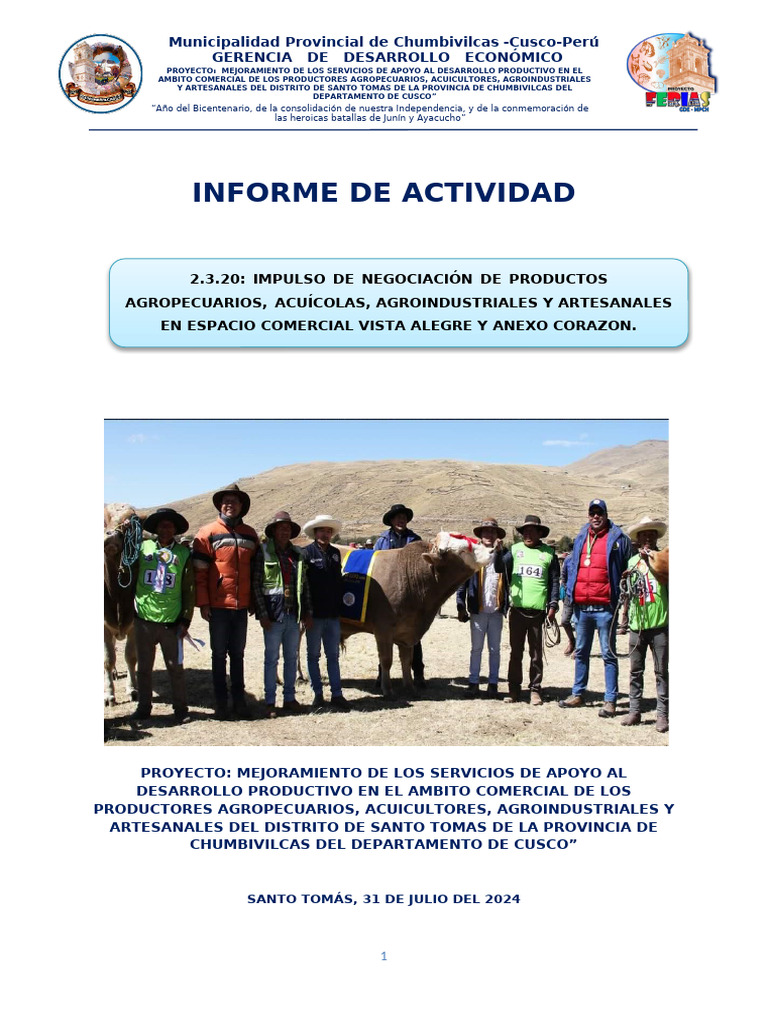 1.- INFORME EVENTO FERIAL_VISTA_ALEGRE_SANTIAGO | PDF | Economias