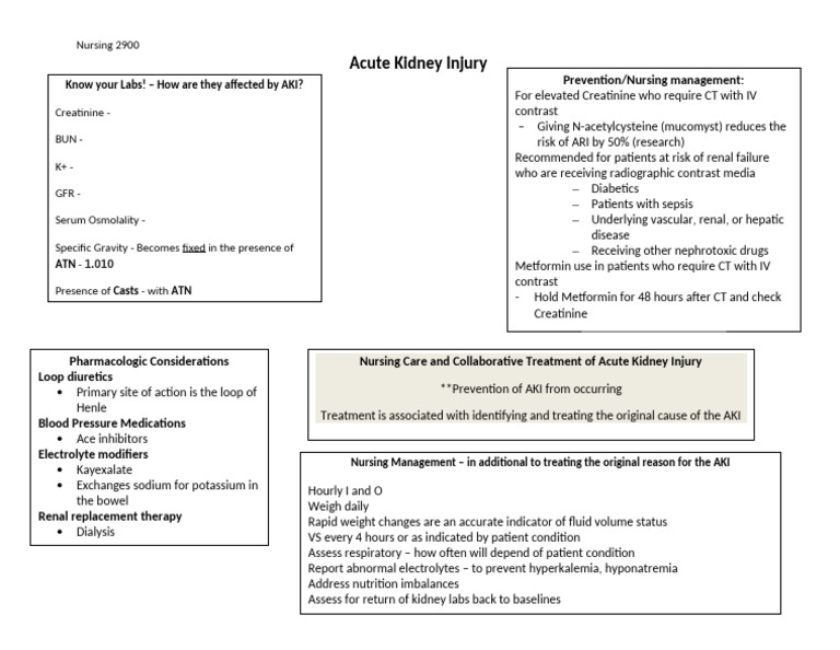 Care Map of AKI Nursing Management | PDF | Kidney | Medical Specialties