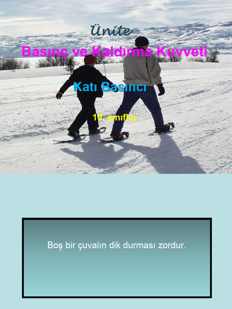 Kati Basinci | PDF