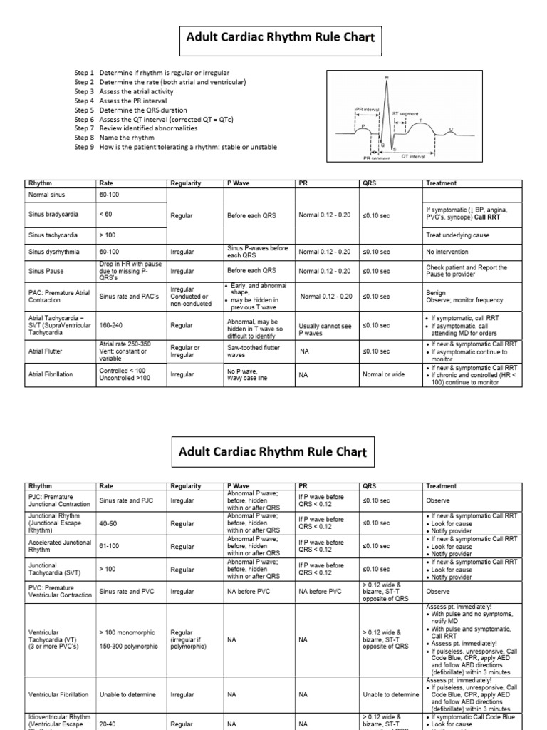 Adult and Pediatric Cardiac Rhythm Rule Chart | PDF | Artificial ...