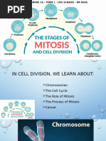 Grade 10 Mitosis Notes | PDF | Mitosis | Meiosis