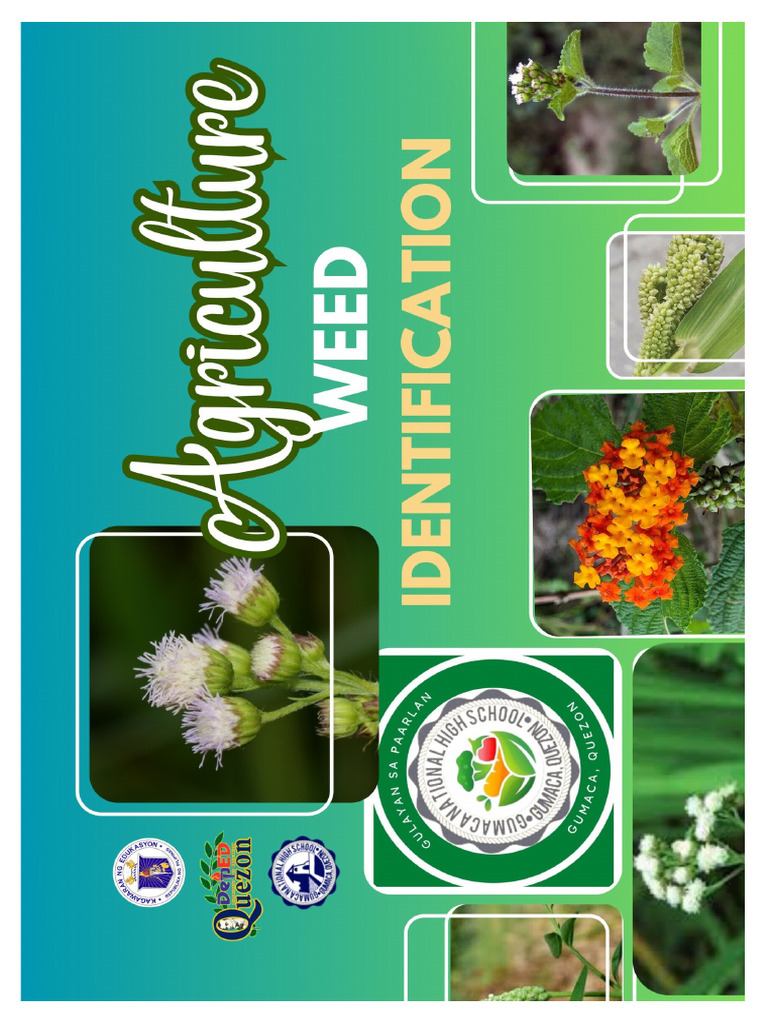 Weed Identification Coverpage | PDF