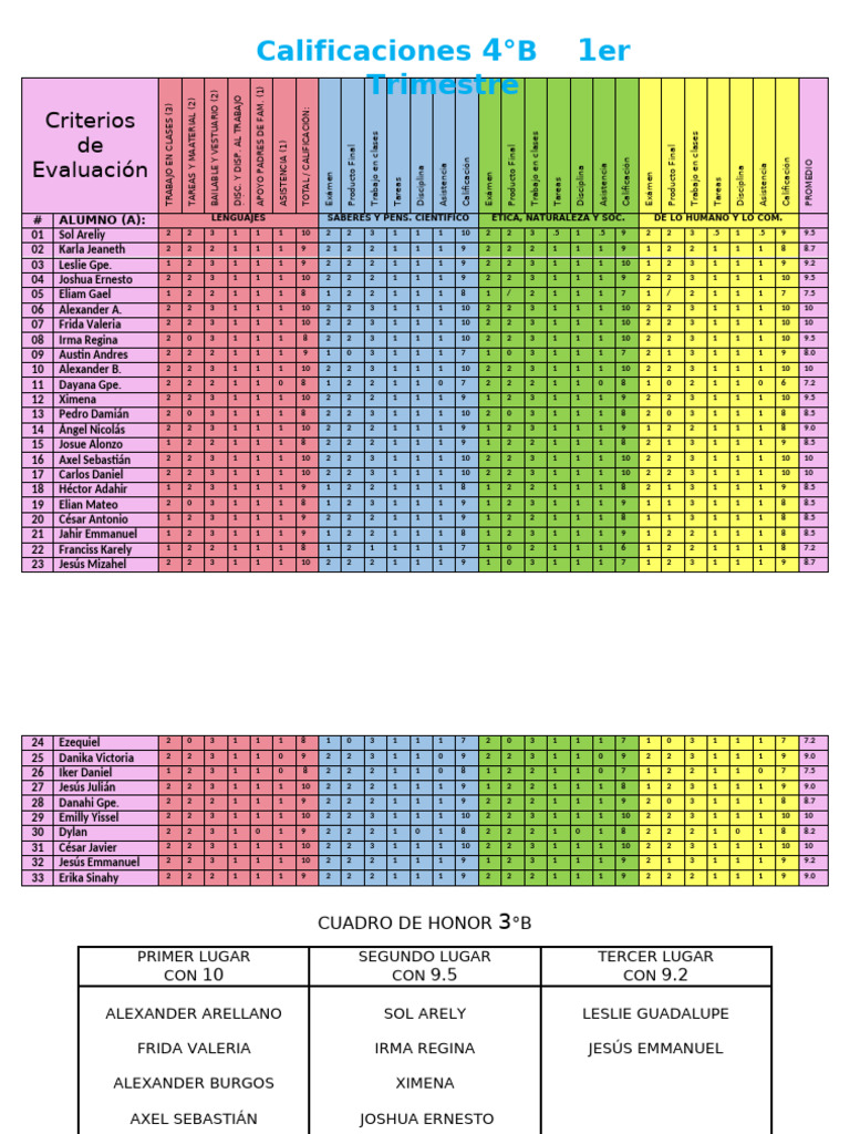 Criterios de Ev Todos Los Campos | PDF