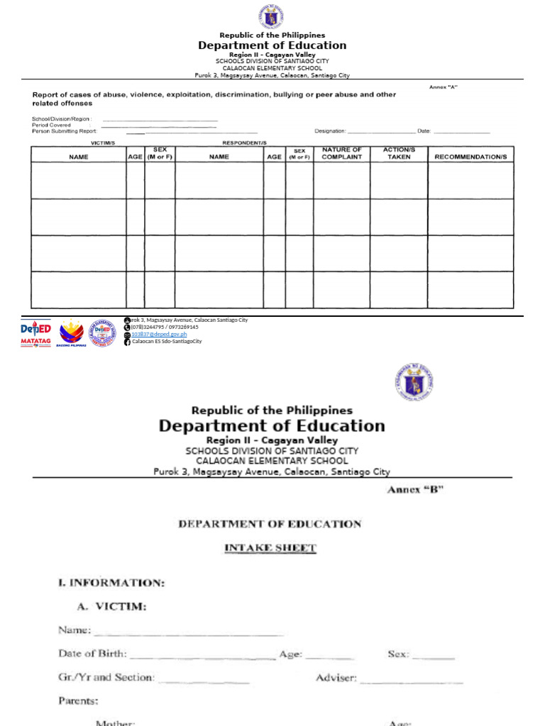 Intake Sheet | PDF