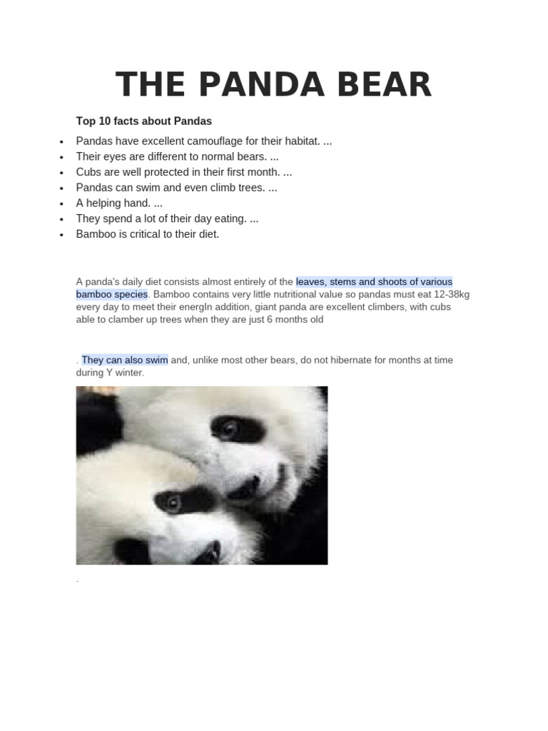 The Panda Bear | PDF