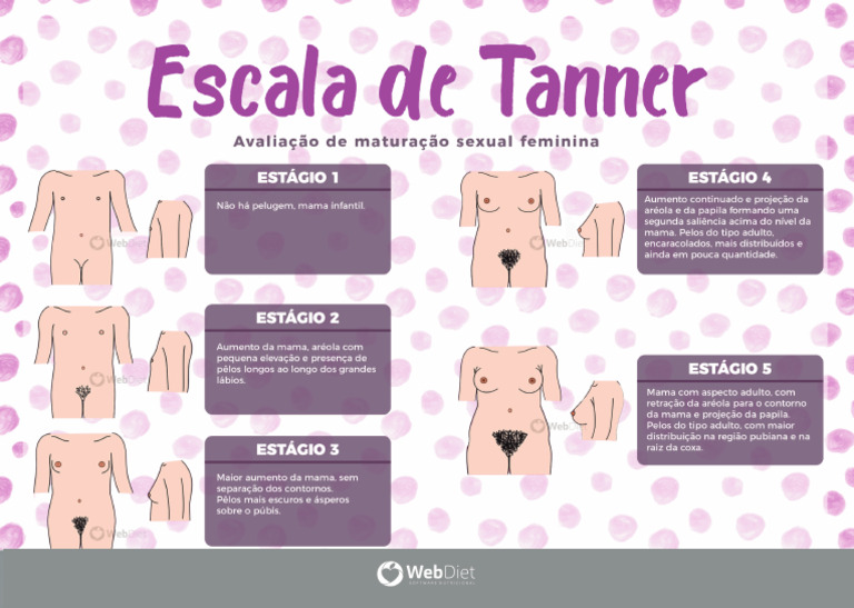 31 - Escala Da Tanner (Feminino) | PDF