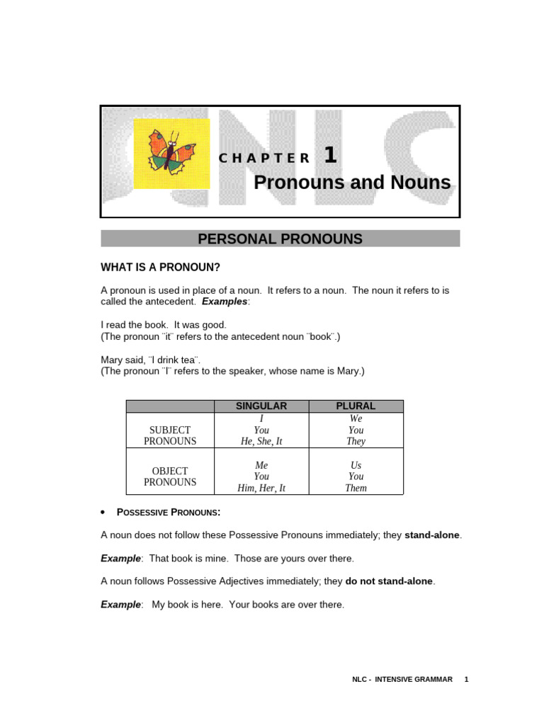 Intensive Grammar | PDF | Pronoun | Grammatical Number