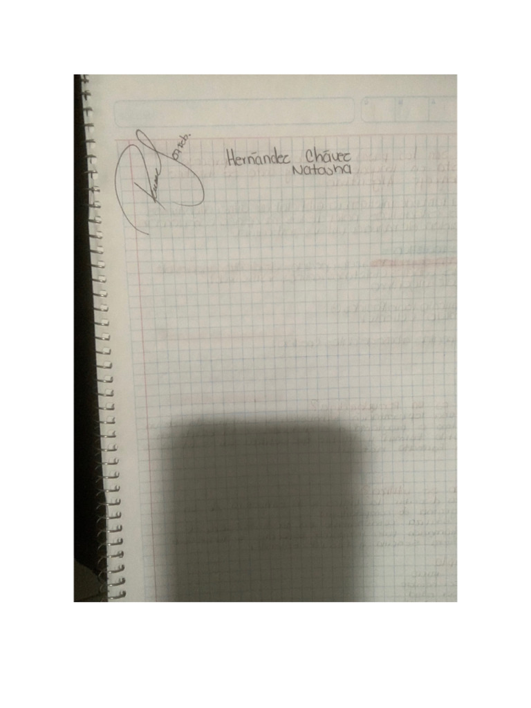 7 Febrero | PDF