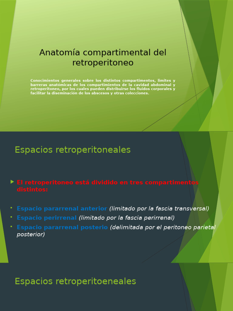 Anatomía del Retroperitoneo y Espacios | PDF | Riñón | Abdomen