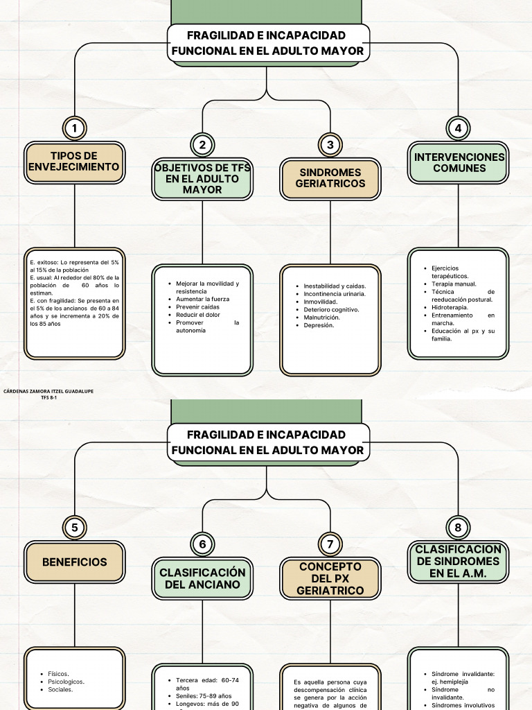 MAPACONCEPTUAL_A.M._IGCZ | PDF