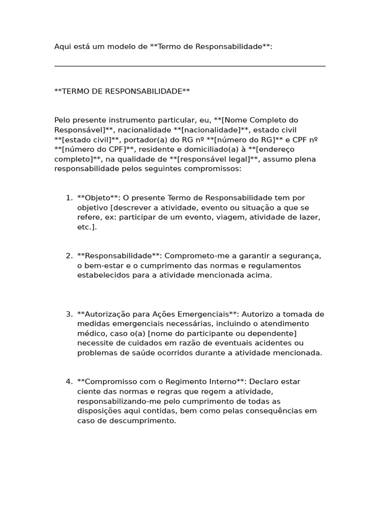 Modelo Termo de Responsabilidade | PDF