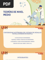 Trayectoria de La Enfermedad | PDF | Teoría | Enfermería