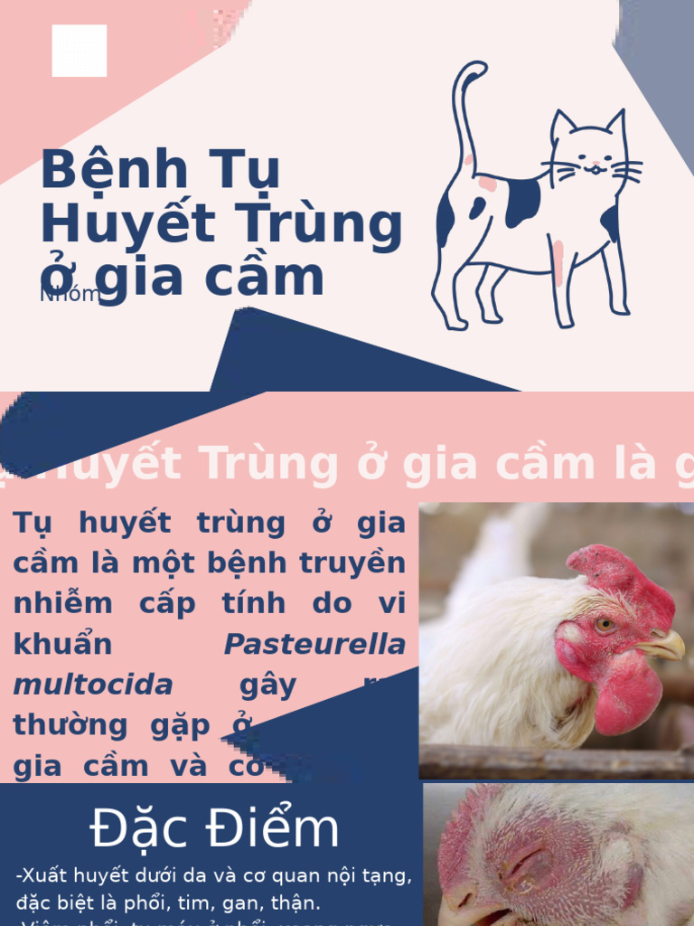 7 Con Cá Thát Lát.pptx | PDF