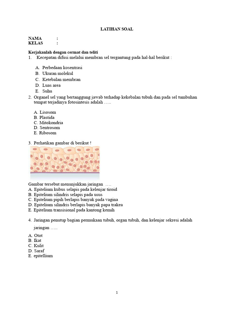 LATIHAN SOAL BIOLOGI GANJIL XI | PDF