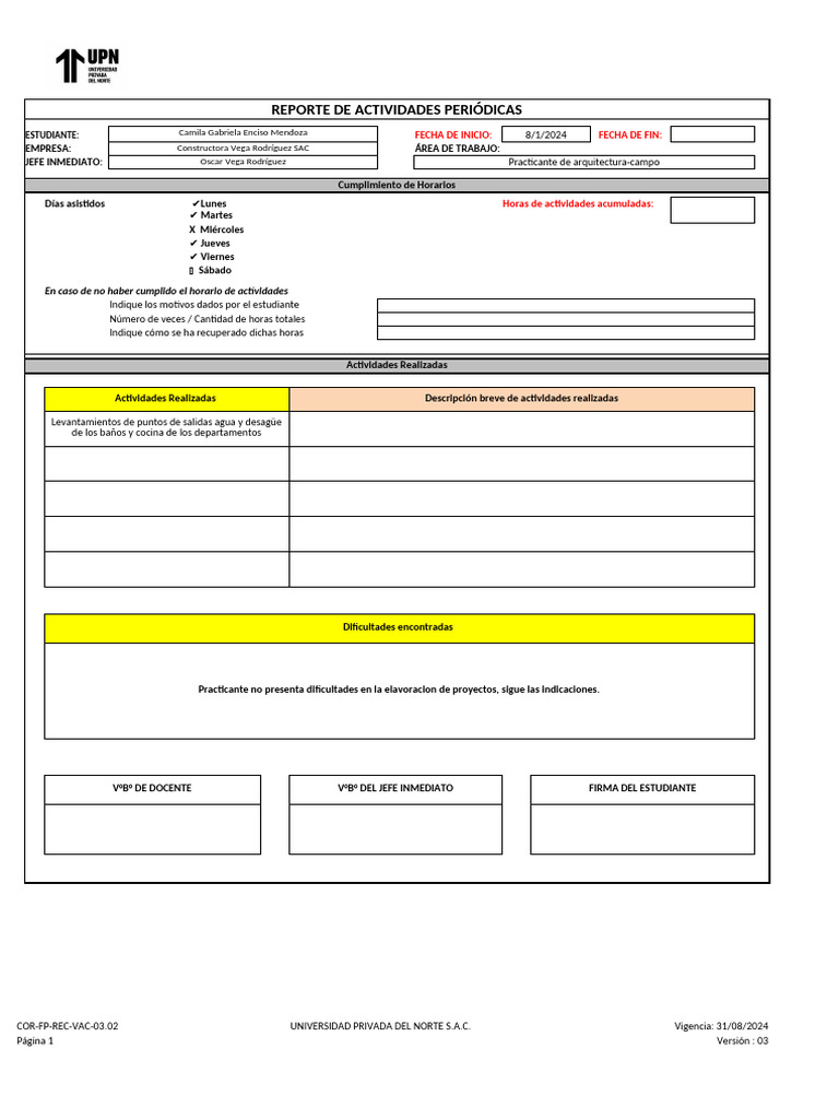 Formato RAP - 2024 | PDF