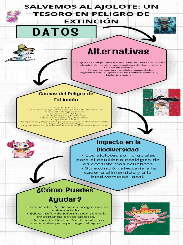 Infografia Grafico Proceso Pasos Orden Doodle Multicolor PDF | PDF